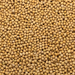 Biologische Sojabonen | Puur & Biologisch | Bionoot.nl